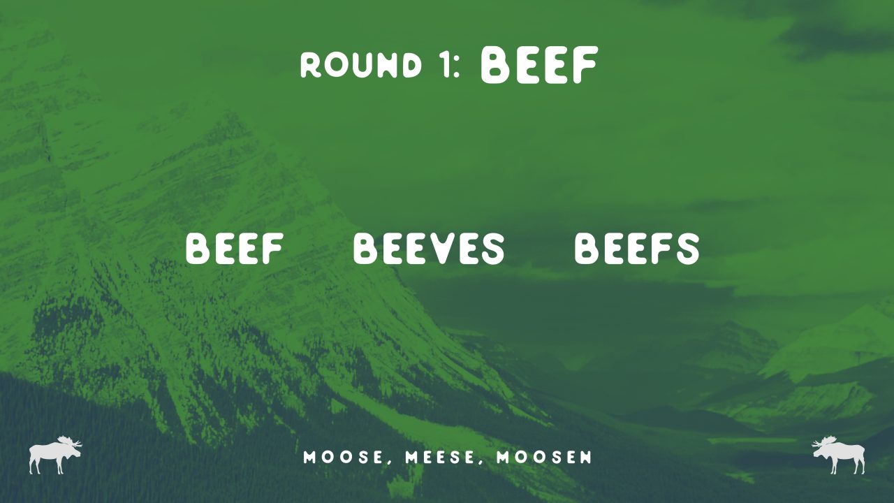 Games - Moose, Meese, Moosen - Grow Curriculum